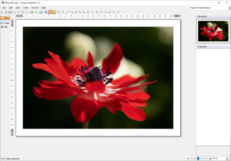 BMP File: What is a .BMP file, and how do I open it? - Coragi