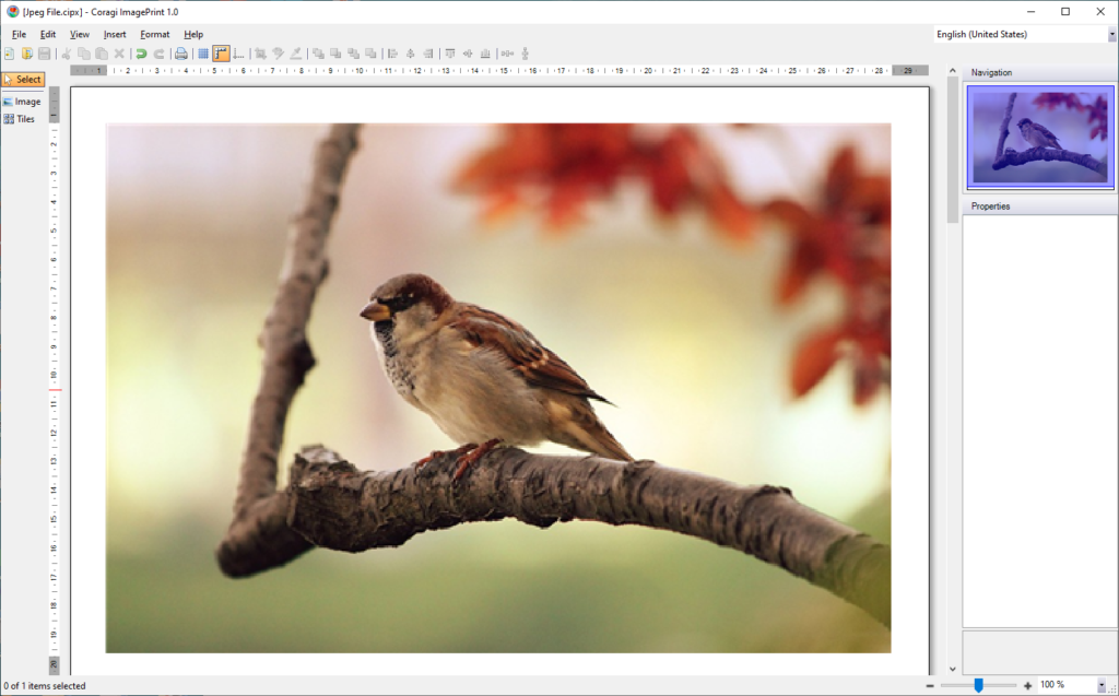JPEG File: What is a .JPEG file, and how do I open it? - Coragi