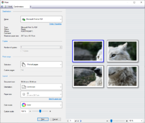 How to print a large image on multiple pages? - Coragi