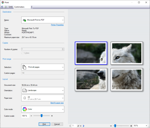 How to print a large image on multiple pages? - Coragi