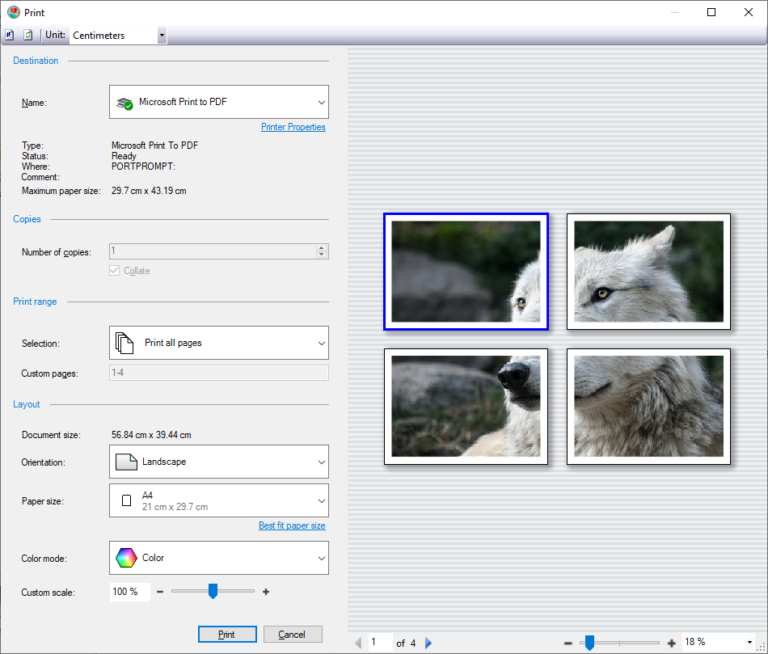 How to print a large image on multiple pages? - Coragi